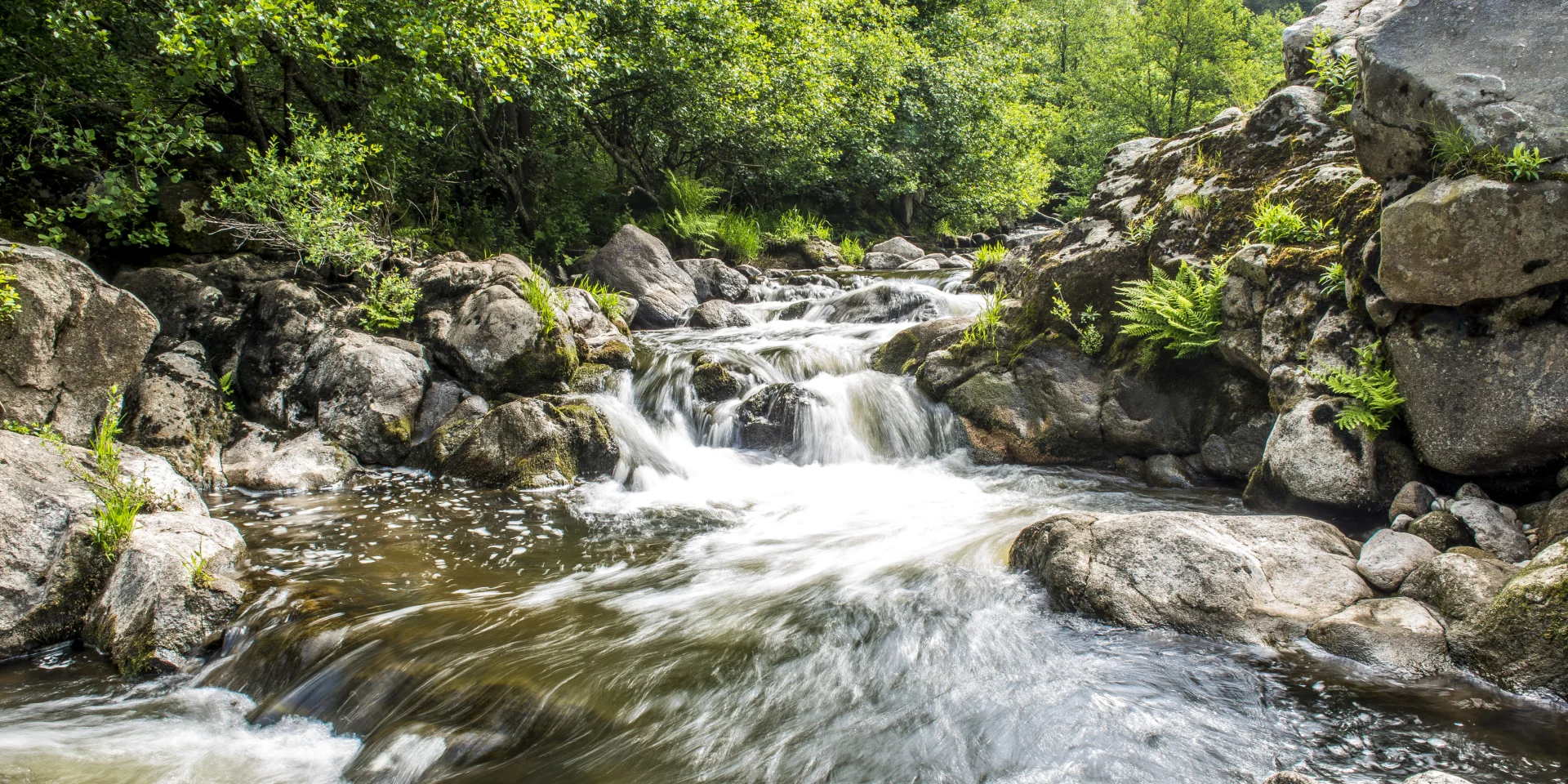 Le Lignon, river and lakes | Office de tourisme du Haut-Lignon ...